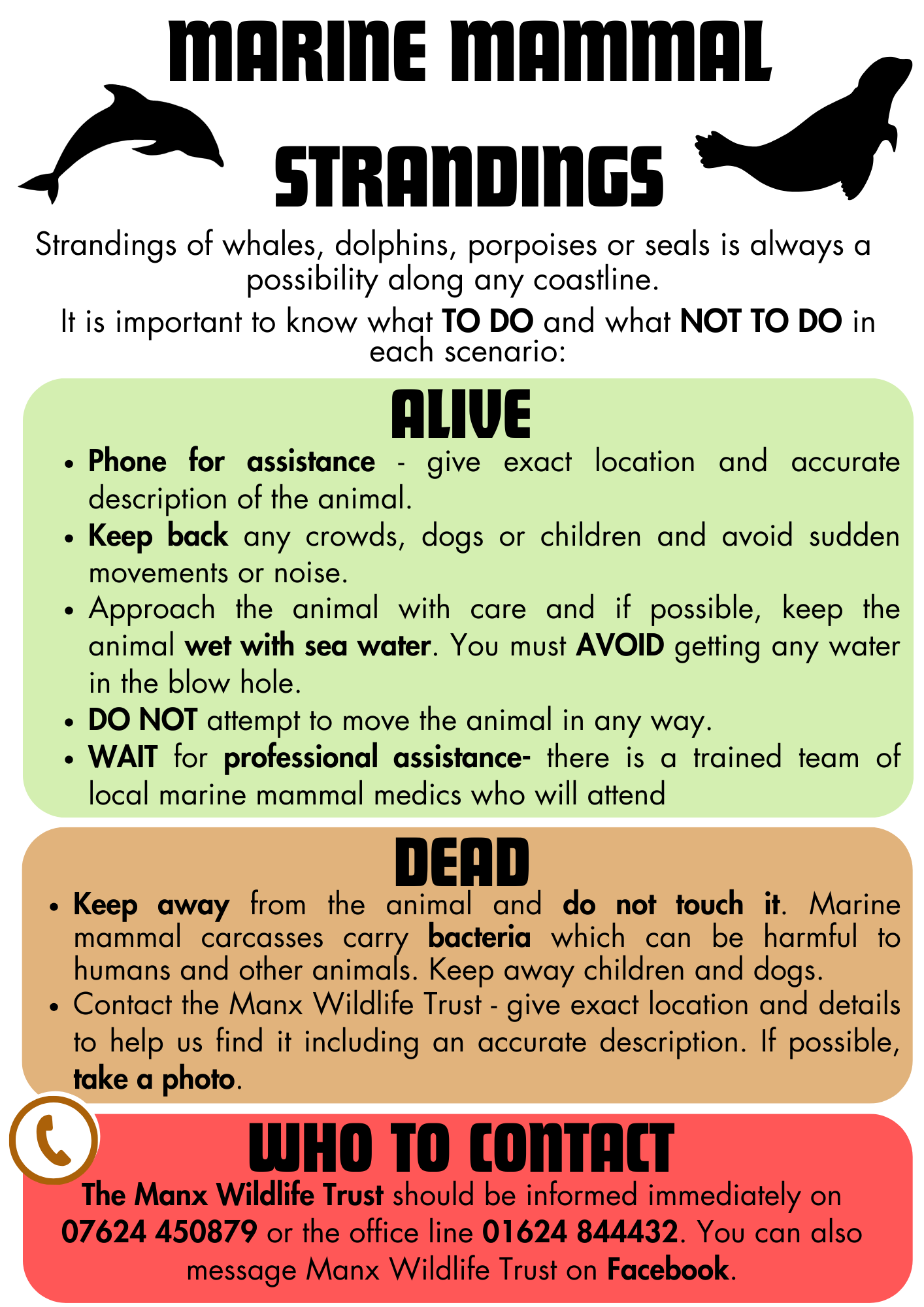 Strandings – Manx Whale and Dolphin Watch